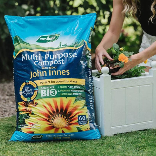 Cedar Garden Nursery - Plants & Outdoor Living Centre - Cobham, Surrey ...