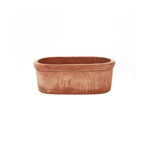 Terracini Oval Trough Planter at Cedar Nursery - Plants and Outdoor Living